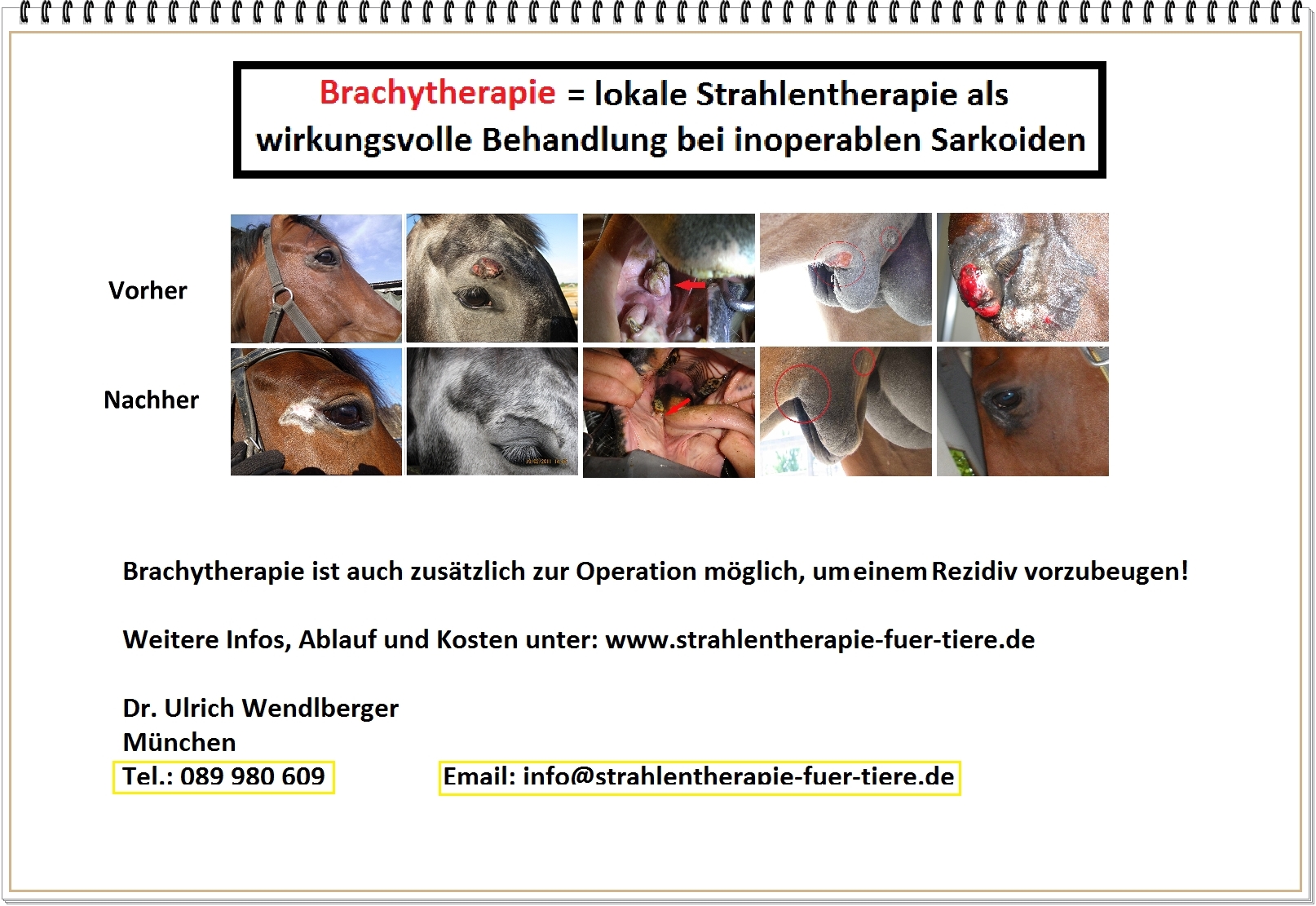 Bestrahlungen – Das equine Sarkoid